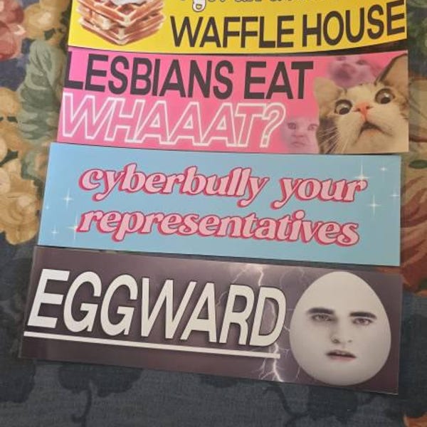 You Will Rue the Day Carly Shae Bumper Sticker OR Magnet | Meme Sticker ...