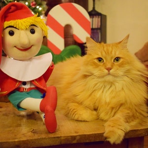 Ruby the Phoenix Firebird Hand Puppet - Etsy