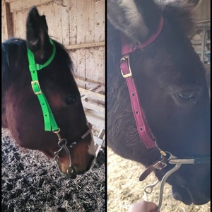 Rose Gold Copper Round Berry Star Saddle Concho Set Western Horse Tack ...