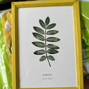 Personalised Fern Print Fern Leaf Monoprint Custom Name Print Fern ...