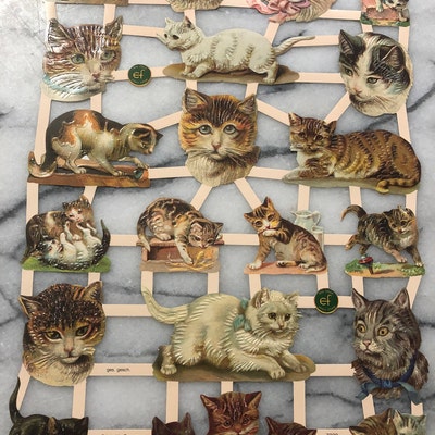 German Paper Scraps Lithographed Die Cut Victorian Cats 7329 - Etsy