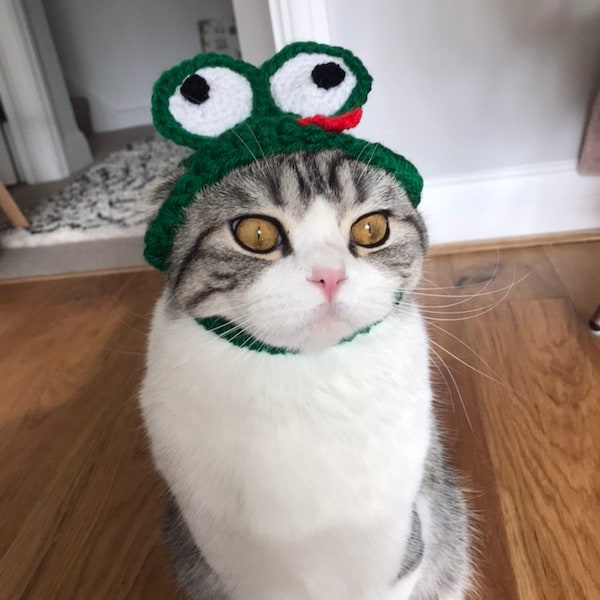 Crochet Frog Dog Hat; Frog Pug Hat; Hats for Dogs; Hats for Pugs ...