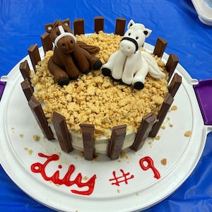 Fondant Civil Engineering Cake Topper Fondant Engineer - Etsy