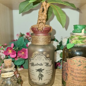 Mandrake Root Herbology Magic Potion Glass Bottle Inspired - Etsy UK