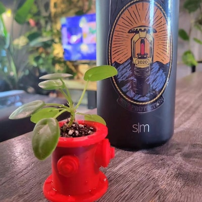 Fire Hydrant Succulent Planter Home Decor Modern Planter 3D Printed ...