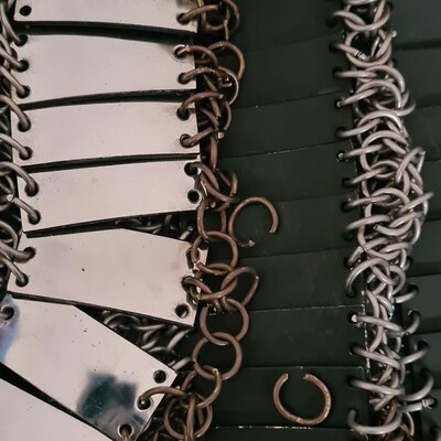 Etched Arms Armor With Removable Rondel mythical Beasts Medieval Armor ...