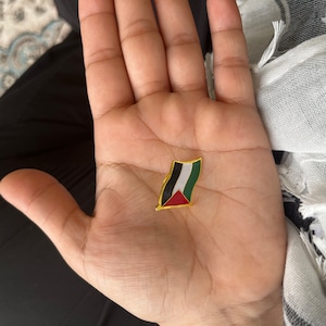 Palestine Flag Pin - Etsy