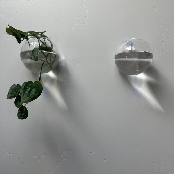 Hanging Glass Wall Planter Propagation Terrarium Vase Quick Hook - Etsy