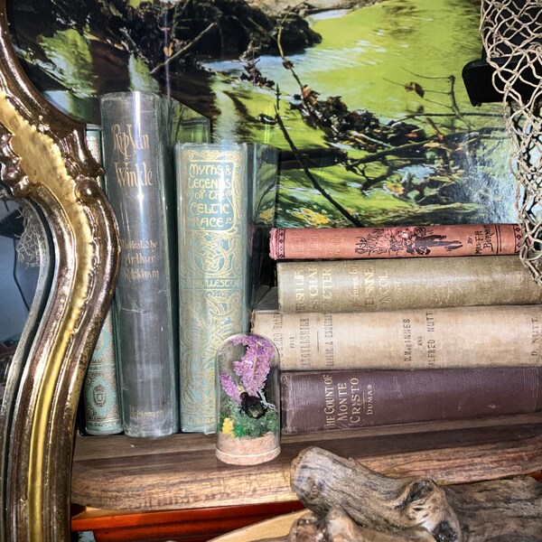 Insect Dome Handmade With Real Preserved Insect king With Man-faced ...