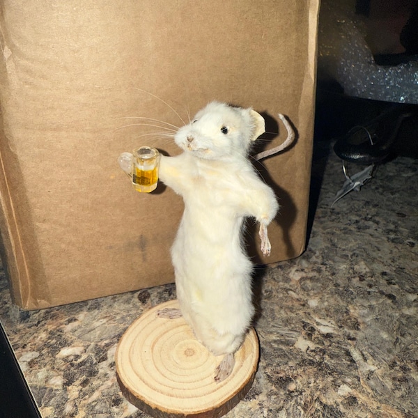 Taxidermy Smoking Drinking Beer Drunk Mouse Funny Gift for Him Her - Etsy