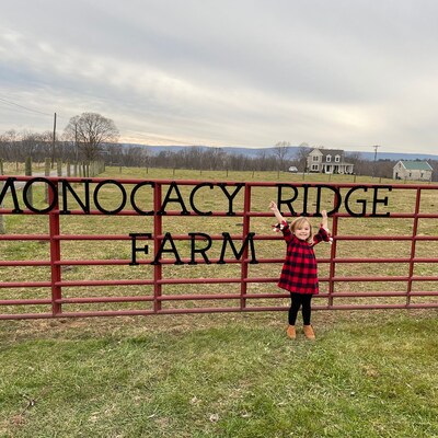 Custom Farm Gate Name Letters - Etsy