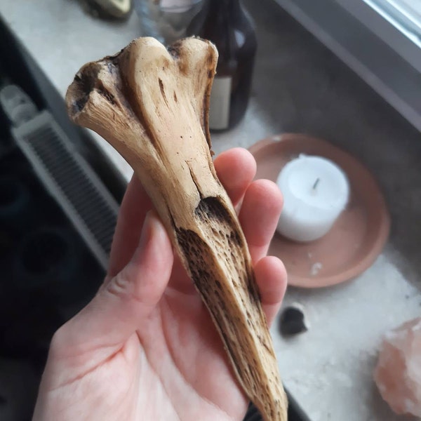 LARP Magic Foam Spell Packet: Tribal Bone Dagger (bundle Avaliable ...