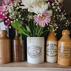 Shell Educational Poster Life on the Tide Line - Etsy UK