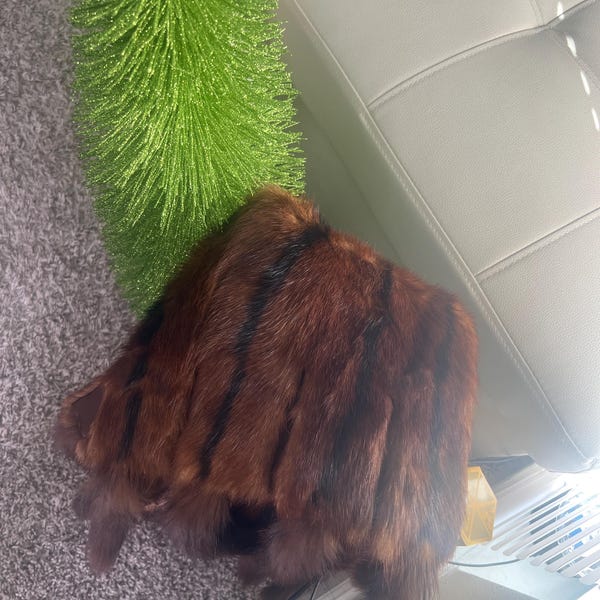 Vintage Blue Fox Pelt Stole With Chin Clip 1940s 1950s 1960s Real ...