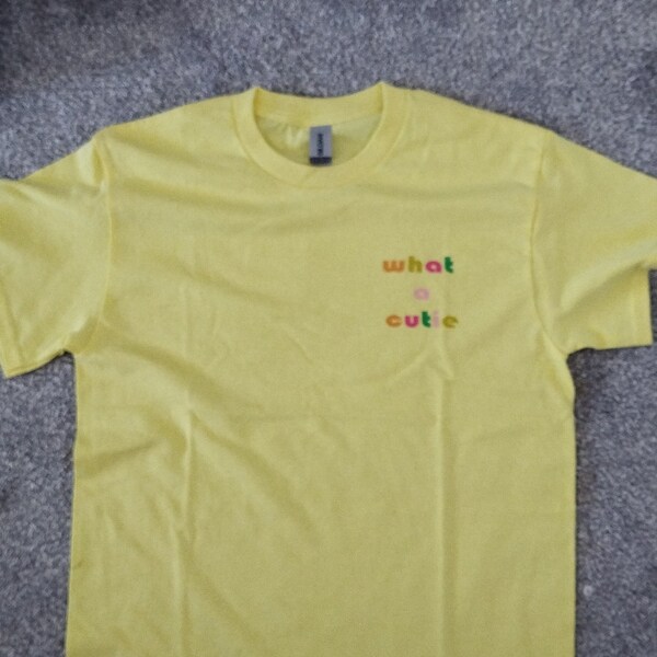 Mudkip Low Key Pokemon Pixelart Top - Etsy UK