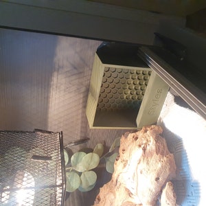 Reptile Climbing Ramp, Bearded Dragon Basking Platform, Rock Wall ...