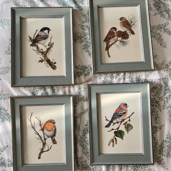 Bird Print Set of 4,garden Bird Print Set,mini Bird Art Print,5x7 Print ...