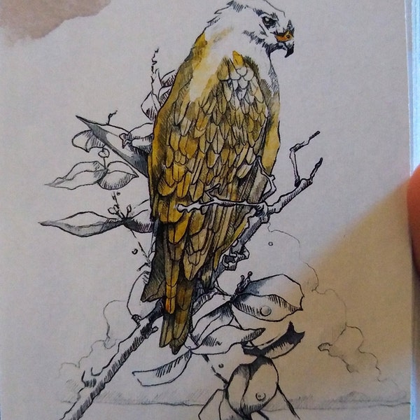 PSYCARDS SYSTEM: A New Alternative to Tarot (40-card Deck Only) Psy ...