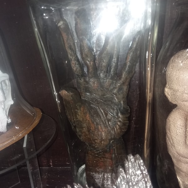 Bizarre! 6 Six Finger Mummified Hand Oddity Medical Gaff Mummy - Etsy