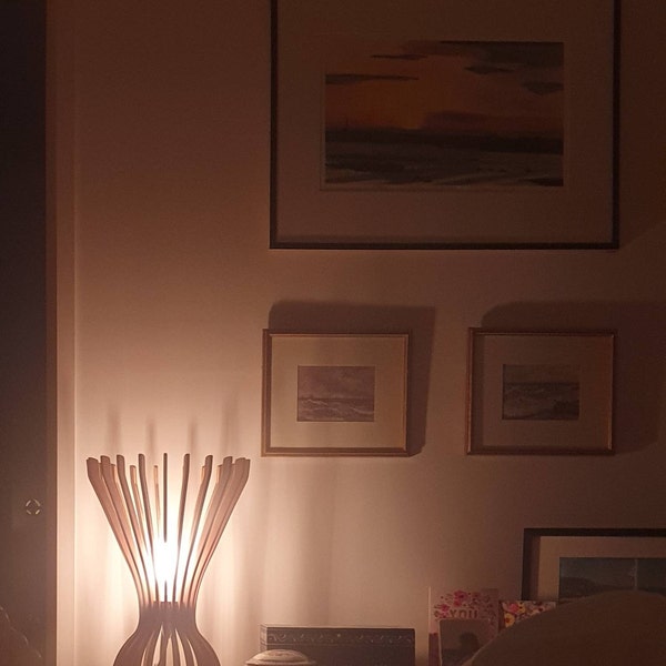Unique Decorative Driftwood Wall Lamp, Australian Brown Driftwood Wall ...