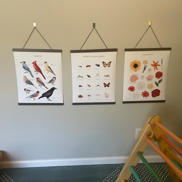 Educational Bugs Poster, Insects Print, Printable Wall Art, Montessori ...