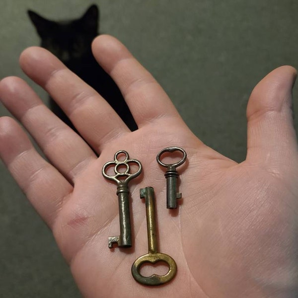 Real 1800s Skeleton Keys - Purchase for 1 Key - Authentic Barrel Keys ...