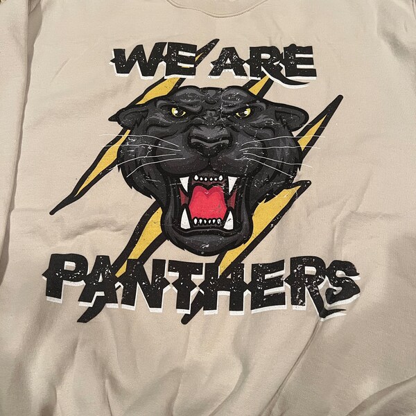Panthers Sweatshirt, Panthers Football, Panthers Pride, Panthers Mascot ...
