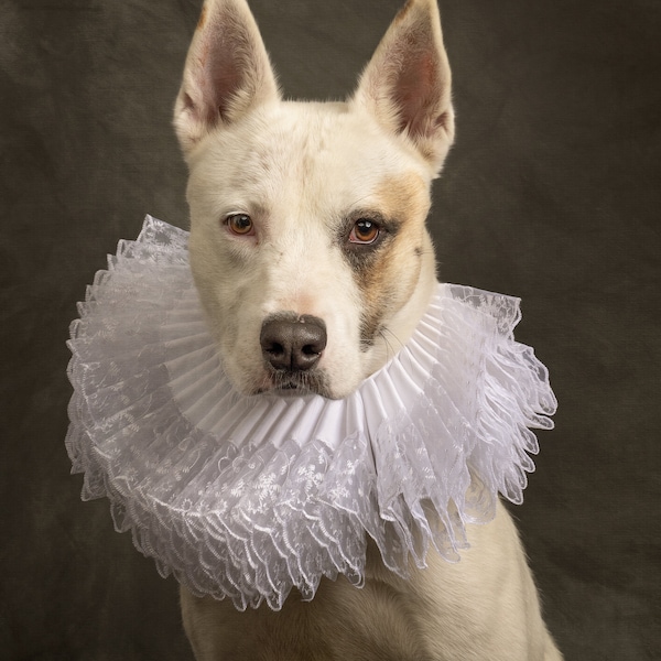 Elizabethan Neck Lace Collar - Black Ruff - Historical Tudor Ruffled ...
