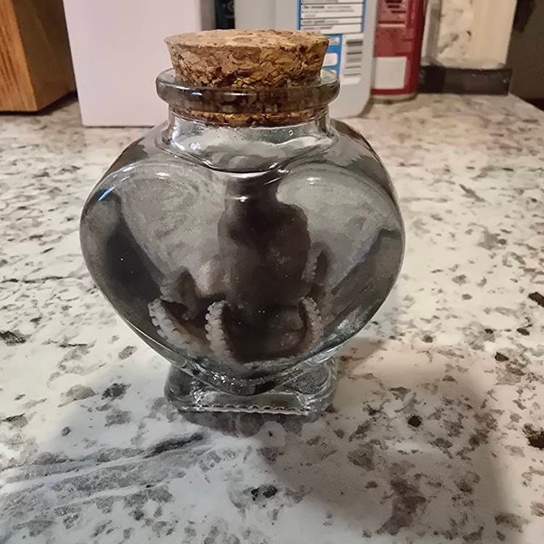 Mini Wet Specimen Mystery Box | Fluid Preserved Taxidermy Oddities ...