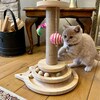 Cat Ball Batting Tower, Interactive Fluffy Toy Ball Cat Furniture, Gift ...
