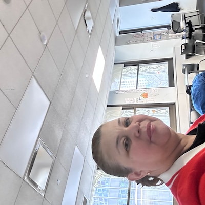 Bright Classroom Alphabet Posters Alphabet Display Animal Alphabet ...