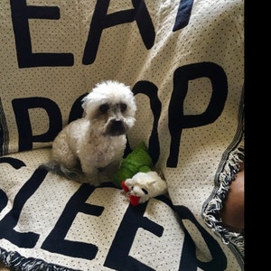 EAT POOP SLEEP Mini Throw Blanket Black and White Cotton - Etsy