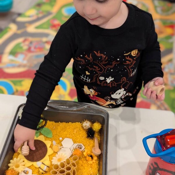 Butterfly Sensory Bin Set Small, Insect Sensory Kit , Sensoryplay ...