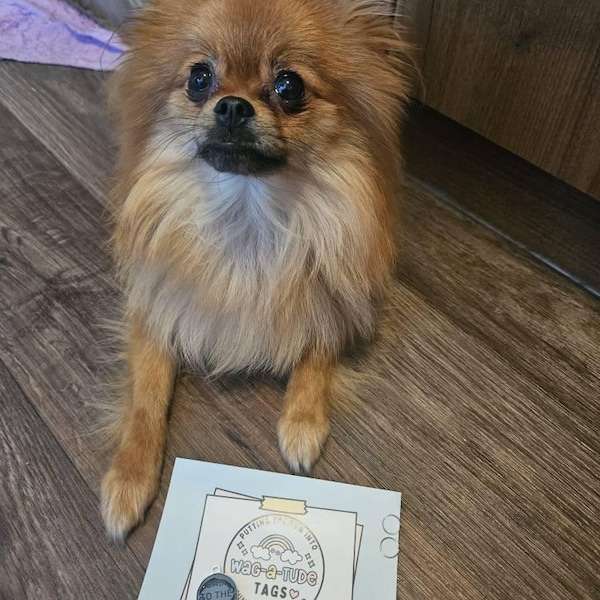 Cavapoo Christmas Ornament – Black & White Cavapoo Personalized Dog ...