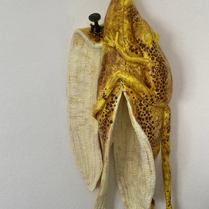 The Fried Egg Frog, Fried Egg in the Frying Pan, Egg Frog, Wall Object ...