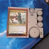 Magic Commander EDH Command Zone Tray MTG Magic the Gathering ...