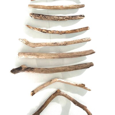 Seashells 50 Pcs, From the Celtic Sea Shore, Wales, United Kingdom ...