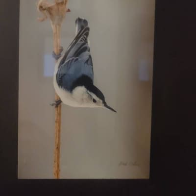 WOOD DUCK Ready to Hang Dye Sublimation Print - Etsy