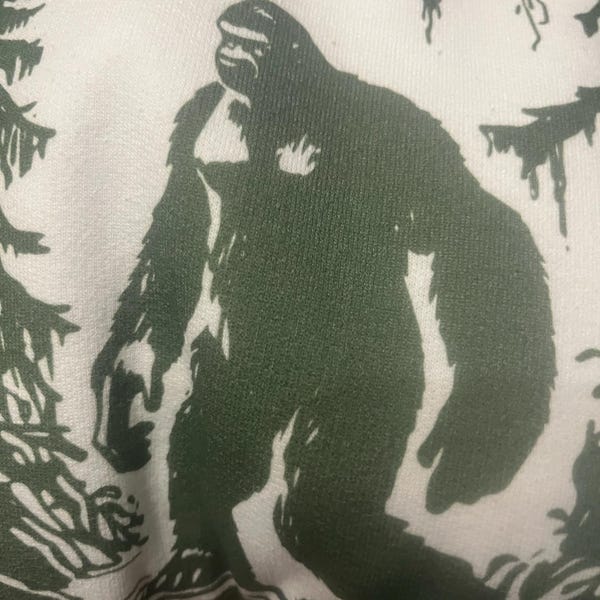 Respect the Locals Bigfoot Hoodie, Funny Bigfoot Shirt, Vintage Retro ...