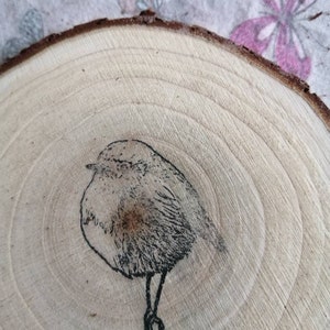 Robin Clear Rubber Stamp Robin Stamp Robin Bird Stamp - Etsy UK