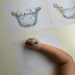 Saguaro Cactus: Classroom Set With Posters, Readings, & Activities ...