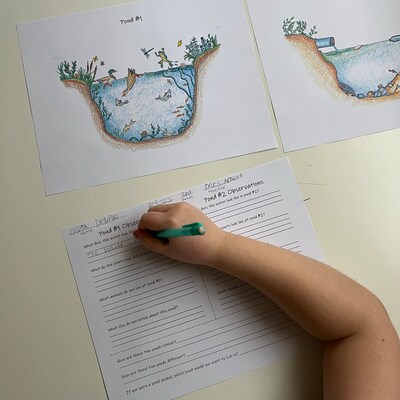 Coniferous Vs Deciduous