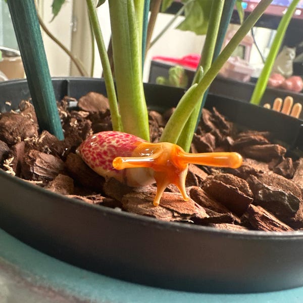 Glass Figurine Jumping Spider, Glass Brown Spider, Handblown Glass ...