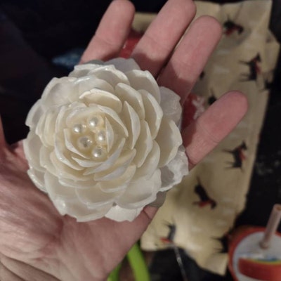 Lily Seashell 'dried' Forever Flower Handmade With Natural Florida ...