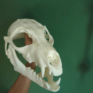 Anteater Fursuit Head-base With Movable Jaw and Eye Lids High Quality ...