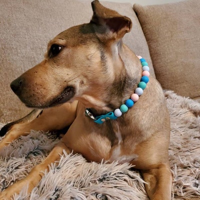 Easter Beaded Dog Collar, Fancy Cat Necklace, Waterproof Dog Collar ...