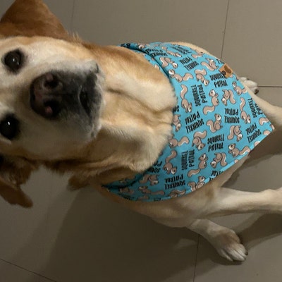 Cinco De Mayo Dog Bandana Pinata Dog Bandana Piñata Dog Scarf Cinco De ...