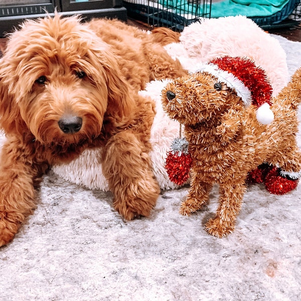 Car Start Button | Bling Car Décor | Crystal Rhinestone Car Bling Ring ...