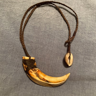 Hawaiian Banded Marble Cone Shell XL Men's or Women's - Etsy