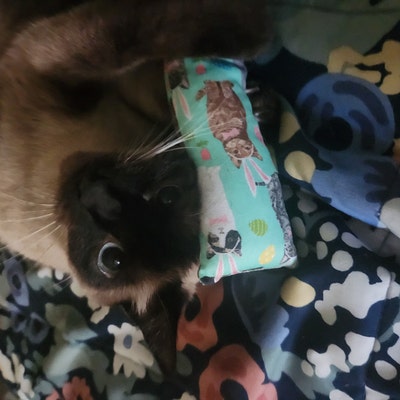 Flannel Cat Bed Lemon Cat Bed , Flannel Bed, Machine Washable Cat Bed ...